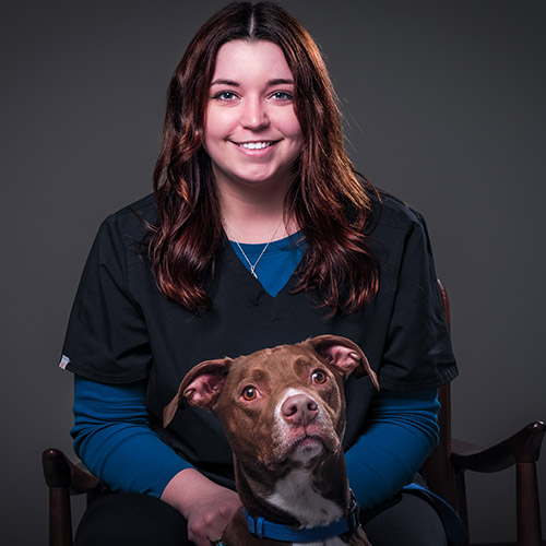 Veronica - Stafford Veterinary Center